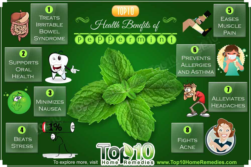 Top 10 Health Benefits Of Peppermint Top 10 Home Remedies