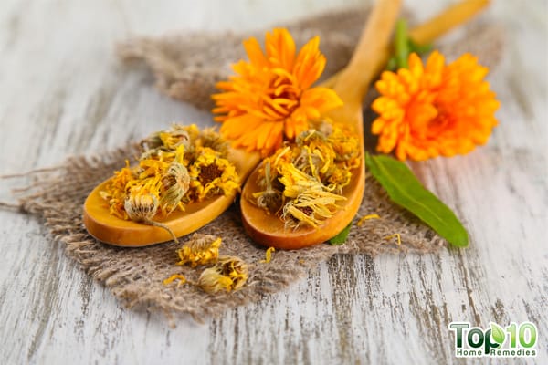Know the Benefits of Calendula Flowers | Top 10 Home Remedies